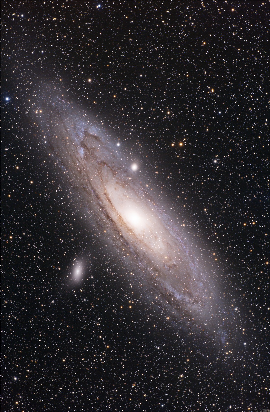 October Chalenge Winner - DSLR, Mirrorless & General-Purpose Digital ...